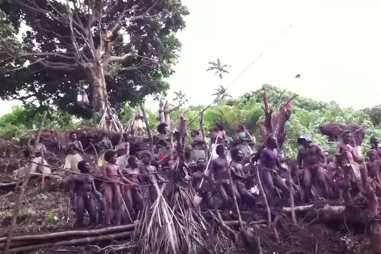 Dive into Nangol Noble Savings with Bula Kava House