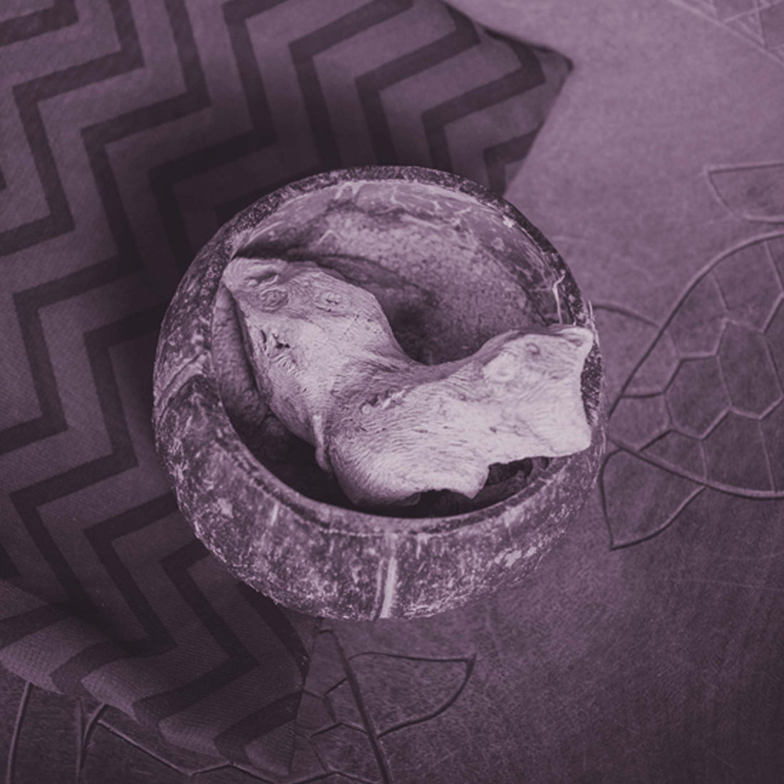 Bula Kava House | Buy Kava | Kava Kava | Kava Root | Kava Powder